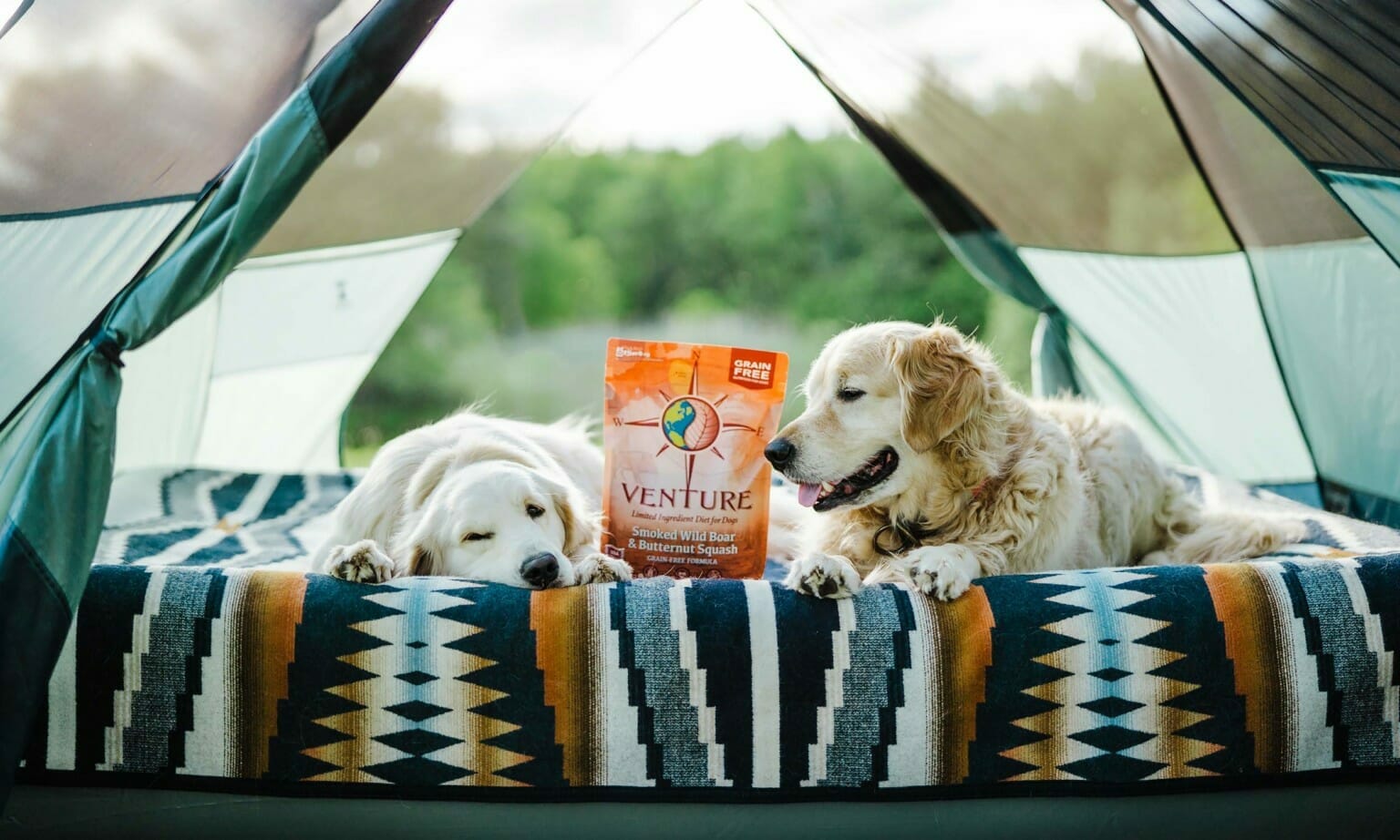 Holistic Wet and Dry Dog Food Recipes | Earthborn Holistic Pet Food