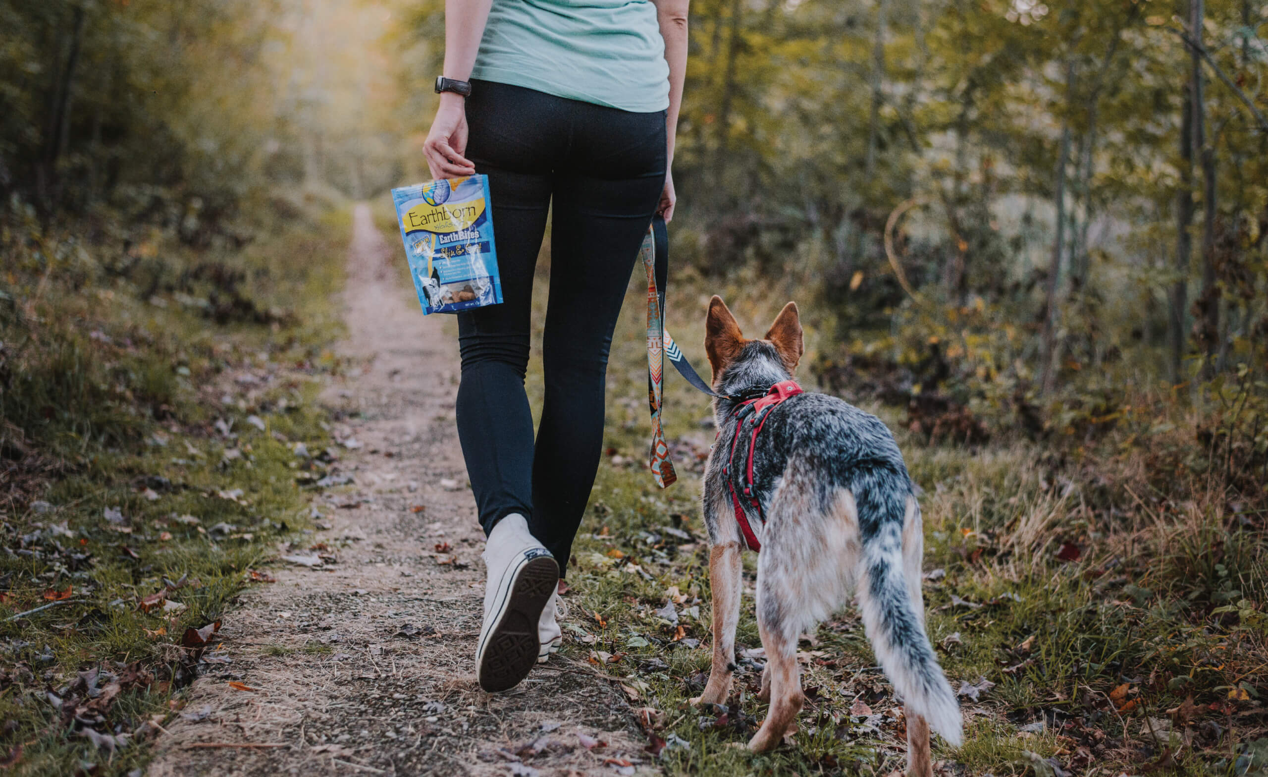 Dog Exercise Tips To Help With Weight Loss Earthborn Holistic Pet Food Dog Exercise Tips To Help With Weight Loss Earthborn Holistic Pet Food