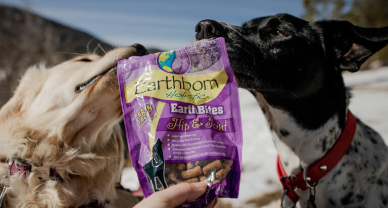 A Guide to Glucosamine and Chondroitin for Dogs | Earthborn Holistic ...