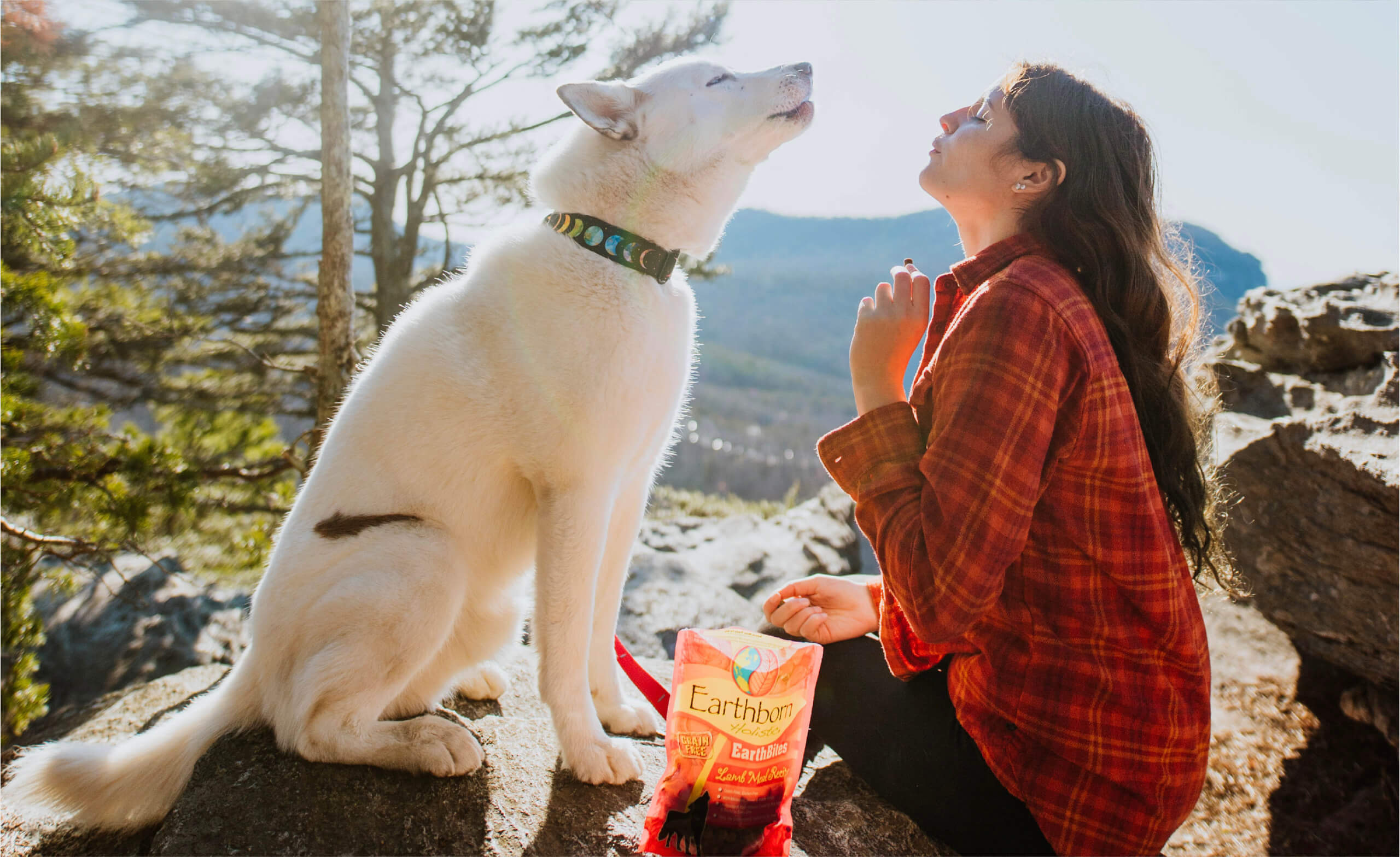 A Guide to Eco-Friendly Products for You & Your Dog | Earthborn ...