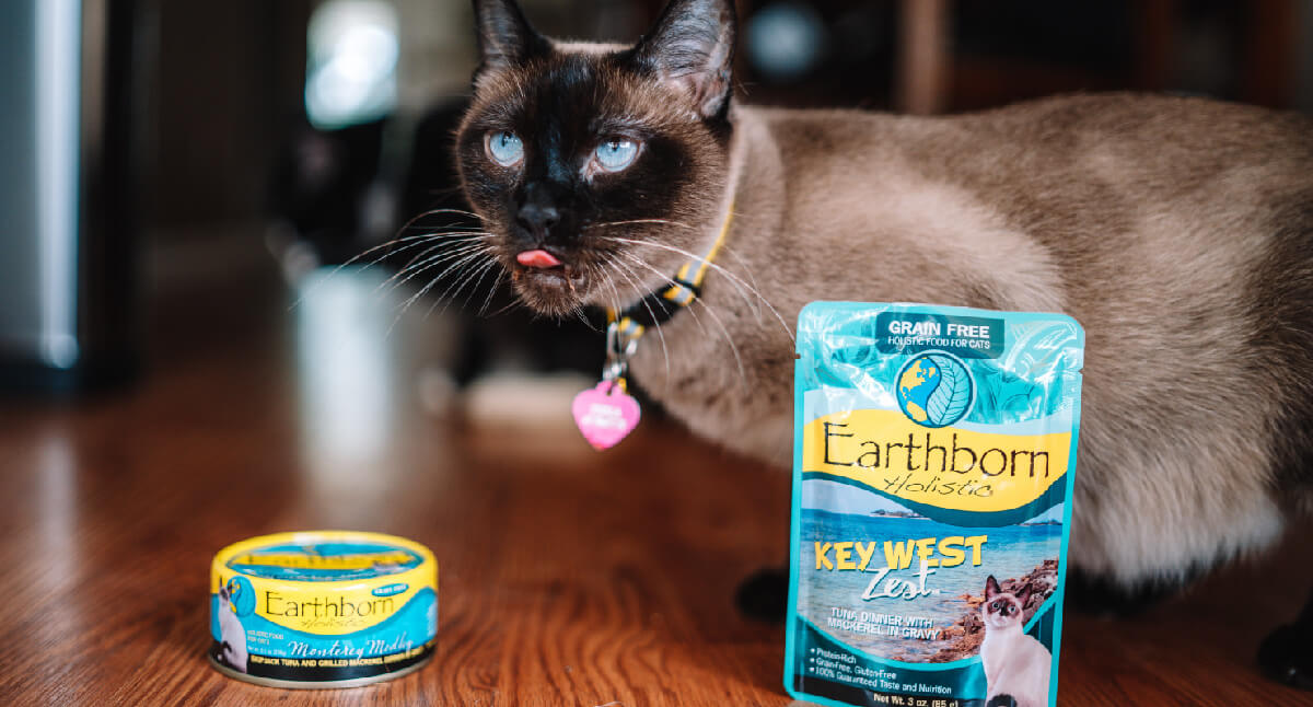 9 Great Questions to Ask Before Choosing New Cat Food | Earthborn ...