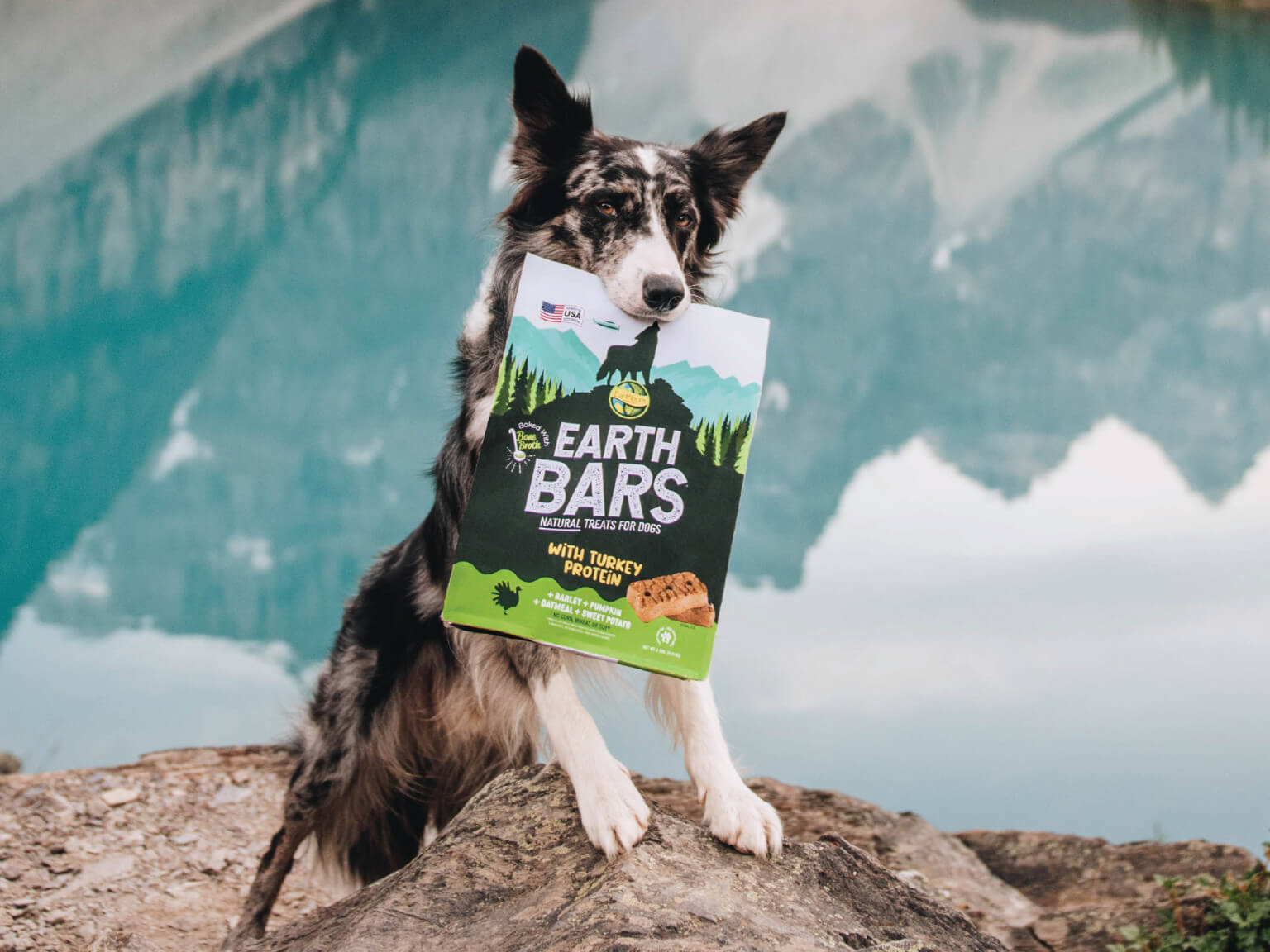 Earthborn Holistic Pet Food