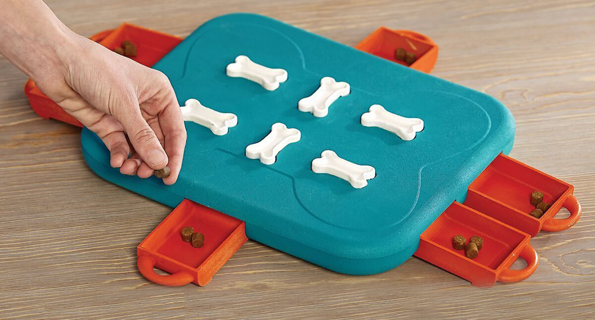 The Ultimate Guide to Interactive Dog Toys - Earthborn Holistic Pet Food